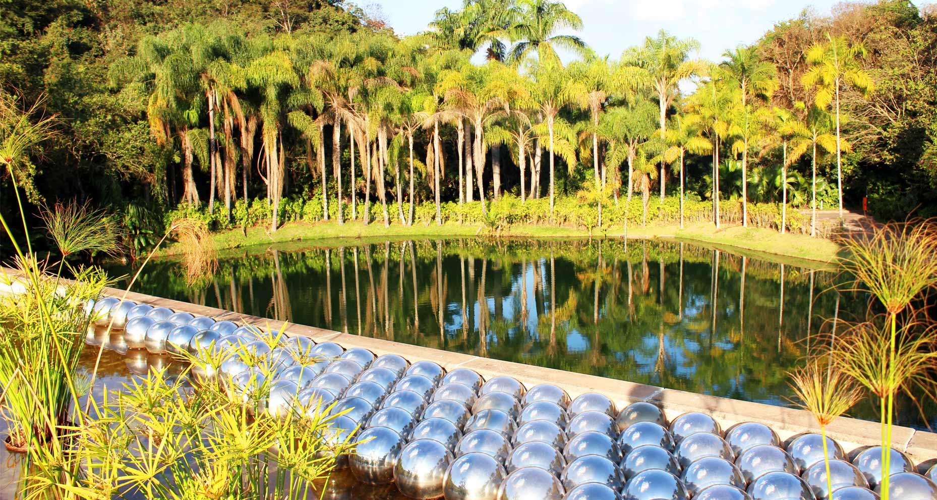 Viagem para Inhotim: tudo o que você precisa saber - Carpe Mundi