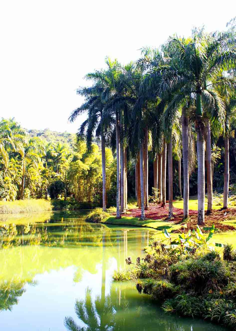 Viagem para Inhotim: tudo o que você precisa saber - Carpe Mundi