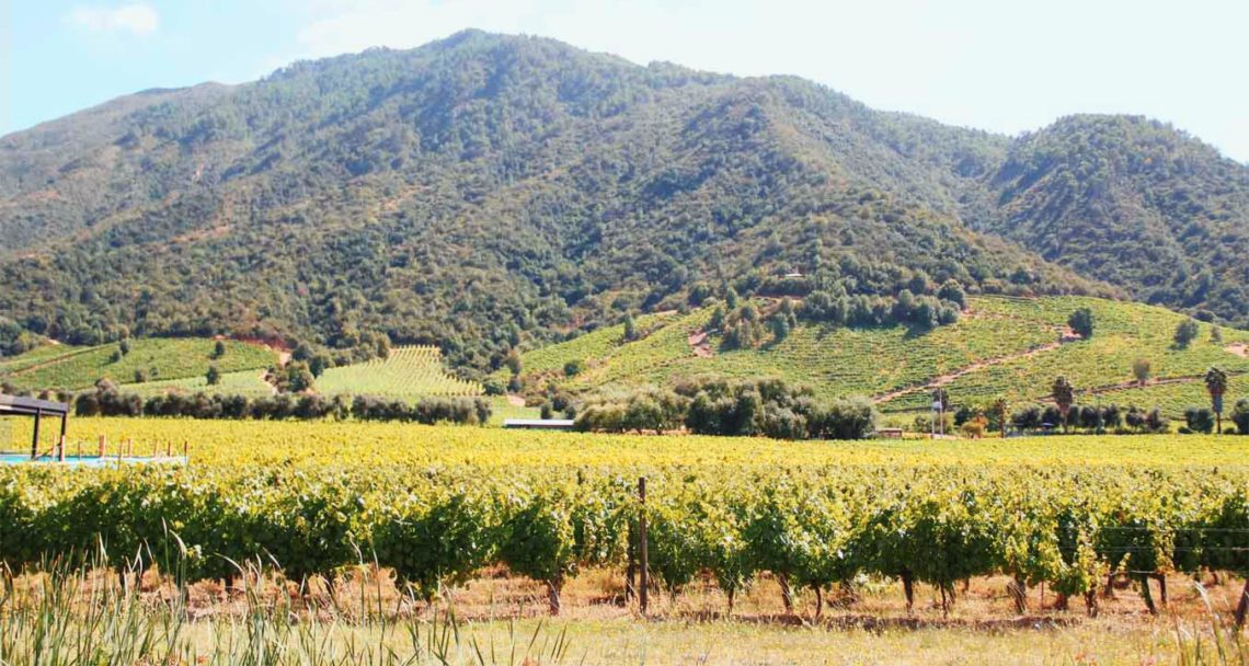 Vale do Colchagua, no Chile: roteiro pelas vinícolas - Carpe Mundi