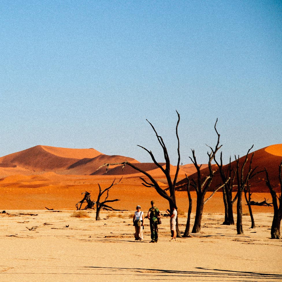 Para onde viajar em agosto: veja os melhores destinos - Carpe Mundi