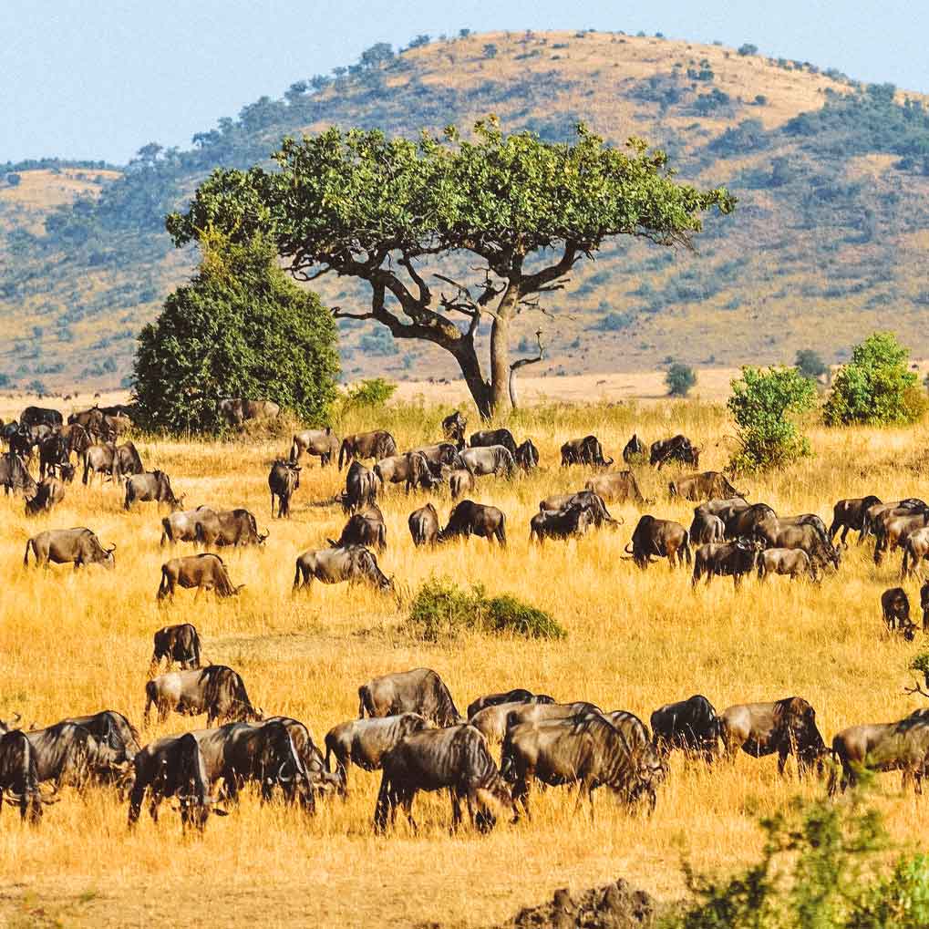 Para onde viajar em janeiro: veja os melhores destinos - Carpe Mundi