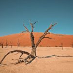 Para onde viajar em agosto: veja os melhores destinos - Carpe Mundi