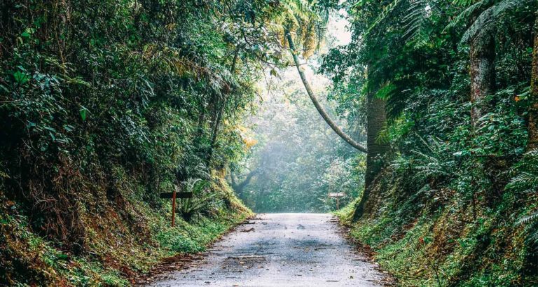 12 trilhas perto de São Paulo para conectar com a natureza - Carpe Mundi