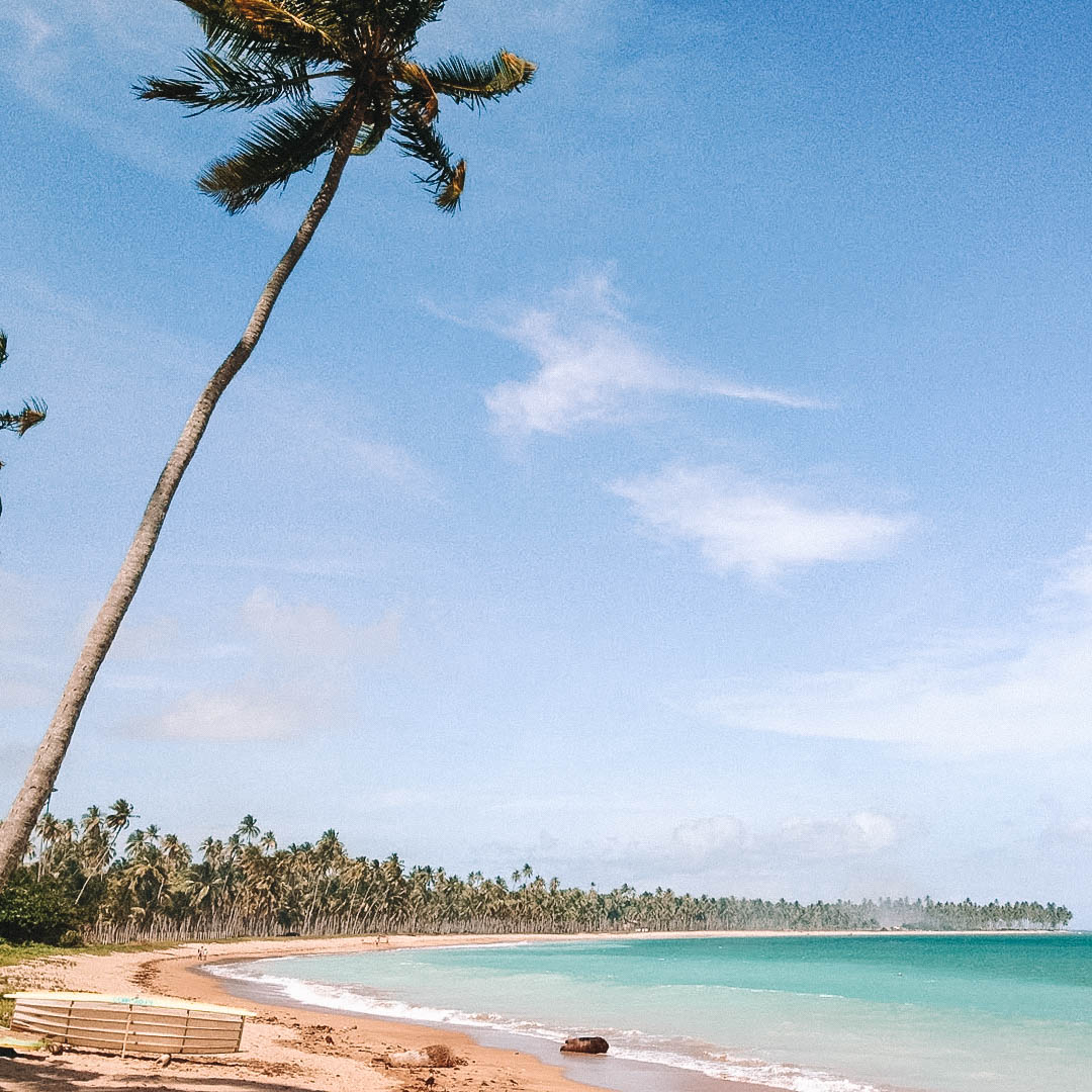 Caribe brasileiro: 15 praias com as águas mais claras - Carpe Mundi