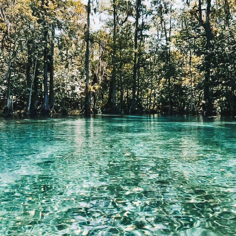 Silver Springs State Park, Flórida: guia completo - Carpe Mundi