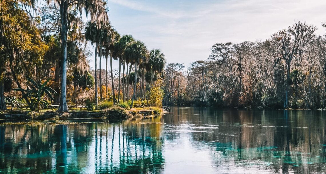 Silver Springs State Park, Flórida: guia completo - Carpe Mundi