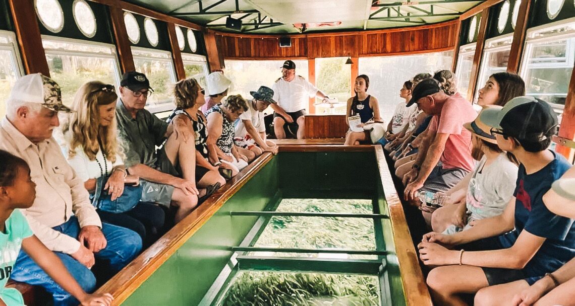 Silver Springs State Park, Flórida: guia completo - Carpe Mundi