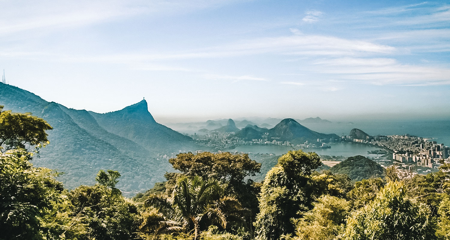 Confira aqui 11 curiosidades sobre a Mata Atlântica - Carpe Mundi